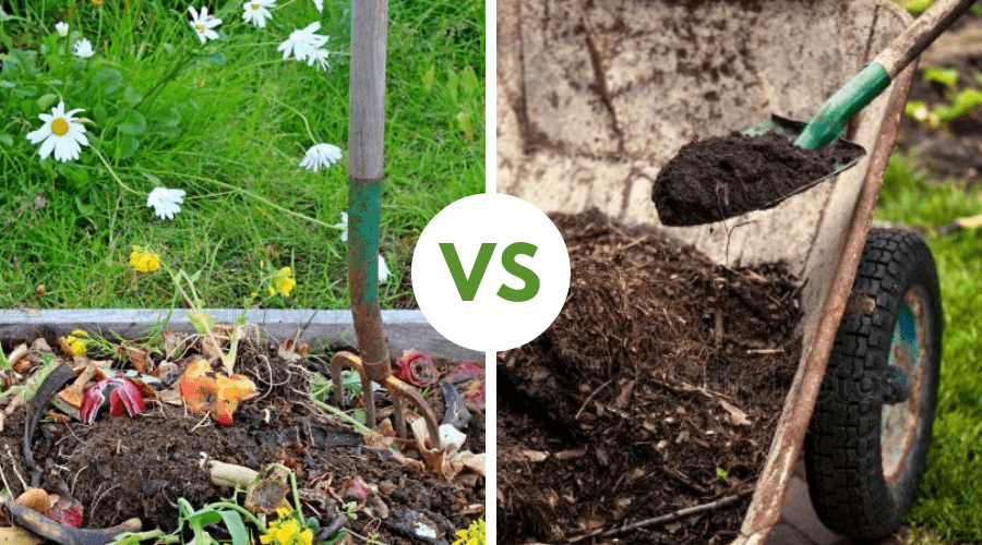 Mulch vs Compost: What's The Difference & Which Is The Best?