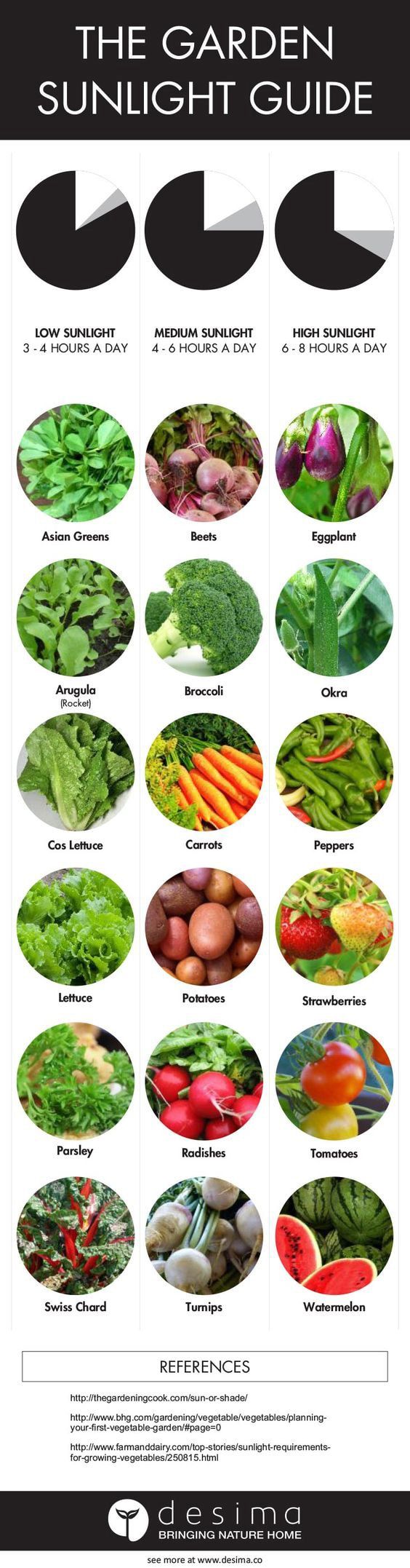 Garden Sunlight Guide