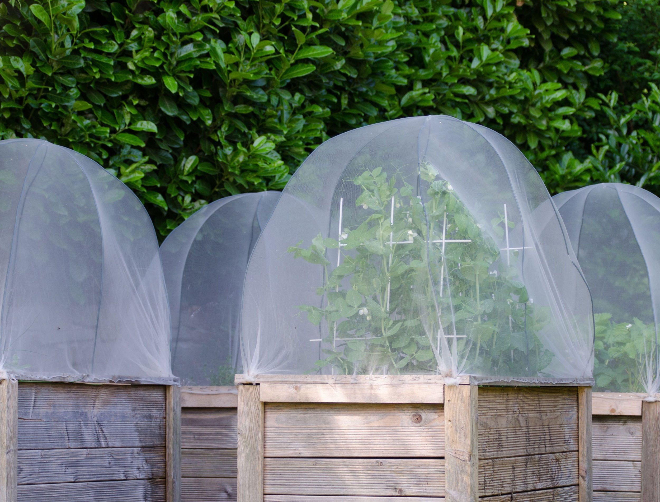 How To Use Garden Fabric or Covers