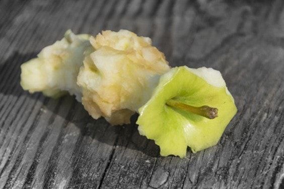 147 Things You Can Compost and 9 Things You Can’t