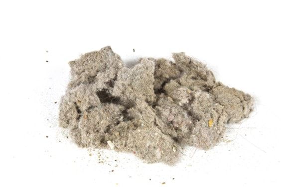 147 Things You Can Compost and 9 Things You Can’t