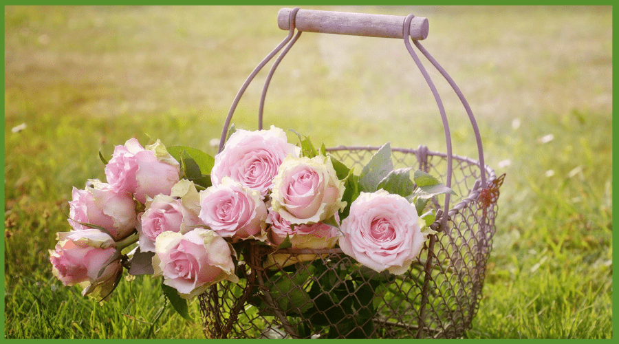 Enjoy Roses No Matter Where You Garden