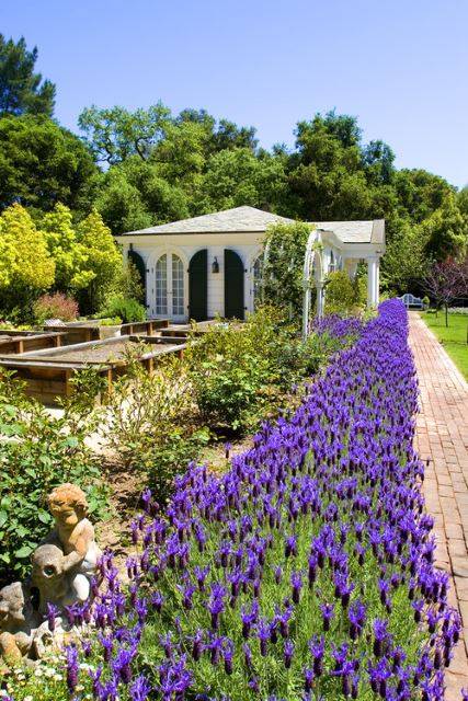 37 Best Flower Hedge Ideas: #23 is So Easy!