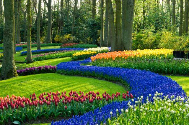 37 Best Flower Hedge Ideas: #23 is So Easy!