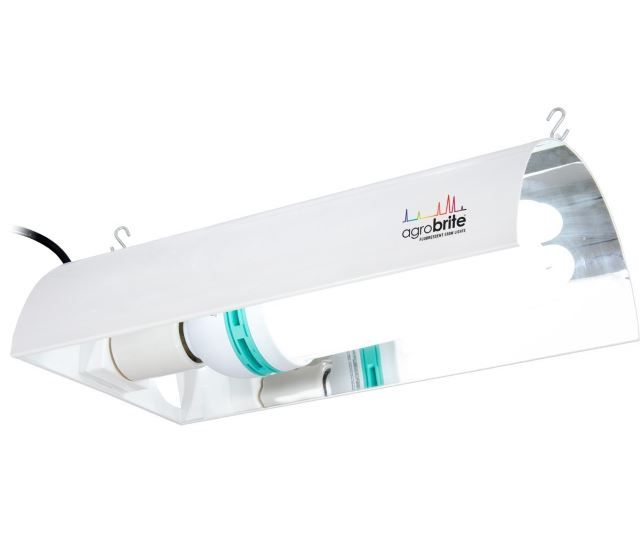 The Best CFL Grow Light Review 2019