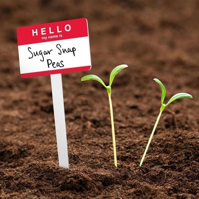 88 Gifts for Gardeners: Fabulous Finds You’ll Want to Keep for Yourself!