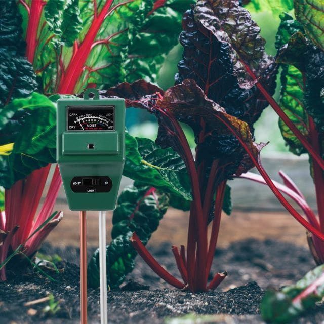 88 Gifts for Gardeners: Fabulous Finds You’ll Want to Keep for Yourself!