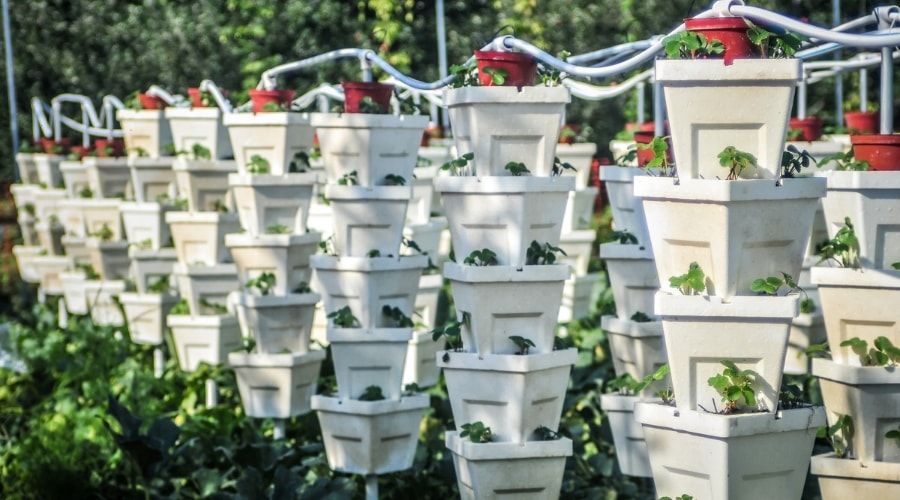 What is a Tower Garden?
