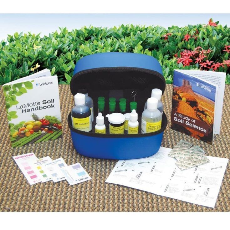 Best Soil Test Kit: A Healthy Foundation for Plant Growth