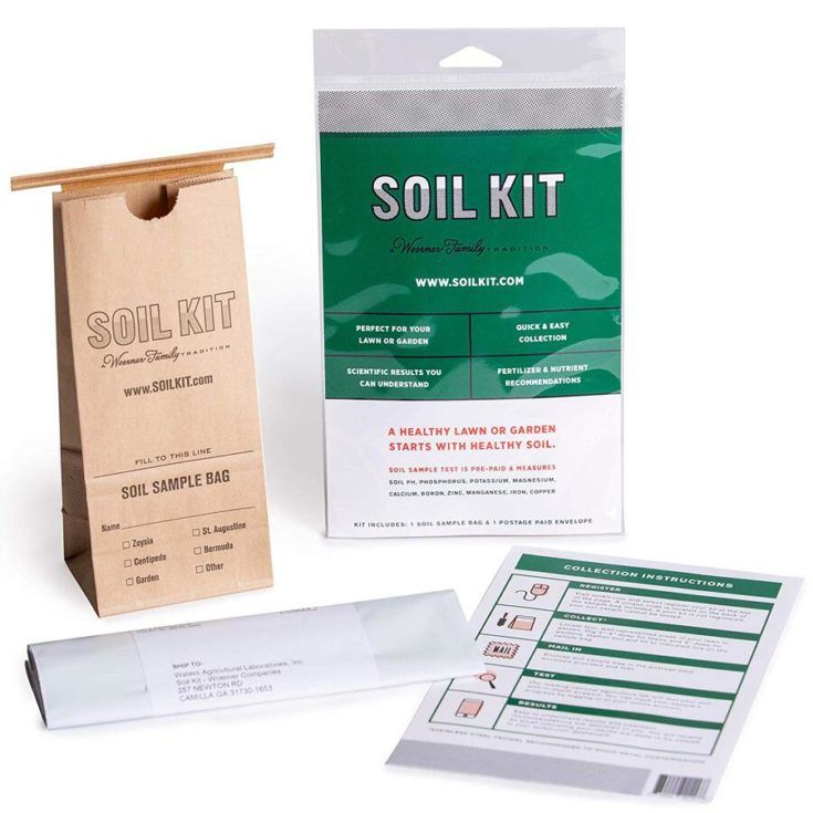 Best Soil Test Kit: A Healthy Foundation for Plant Growth
