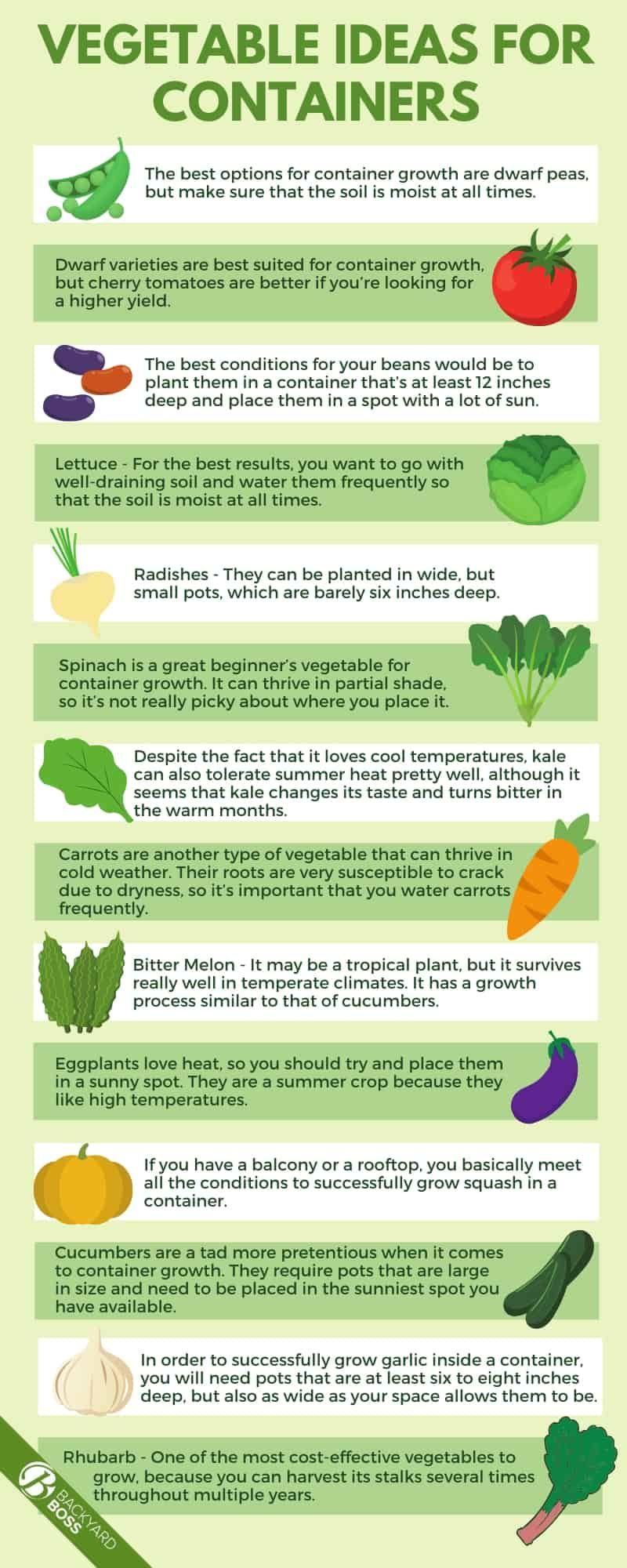 Everything You Need to Know About Growing Vegetables in Containers