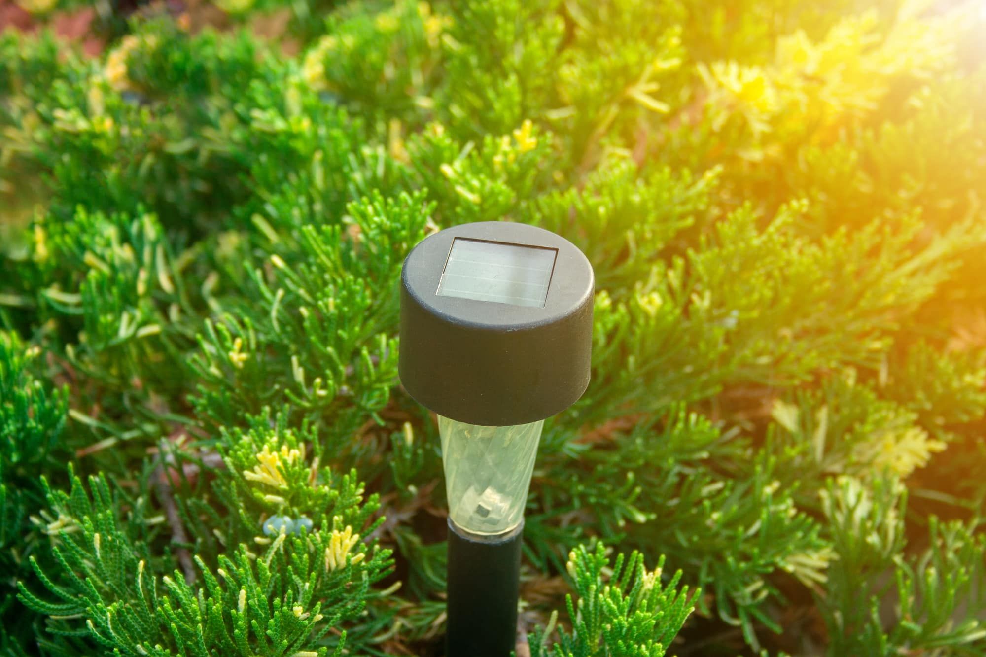 Solar Light Ideas: 31 Ways to Illuminate Your Landscape
