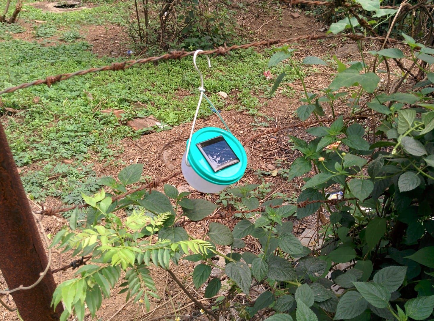 Solar Light Ideas: 31 Ways to Illuminate Your Landscape