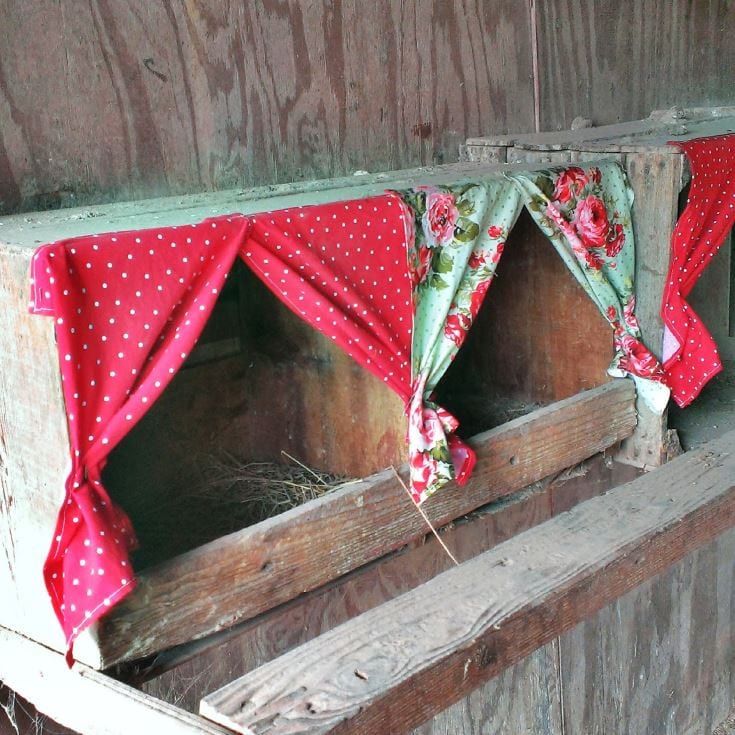 65 Amazing Chicken Coop Nesting Box Ideas