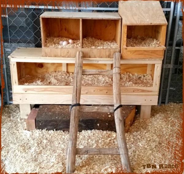 65 Amazing Chicken Coop Nesting Box Ideas