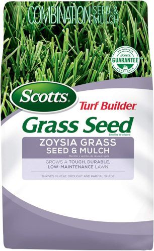 How to Choose the Perfect Grass Seed for Your Lawn