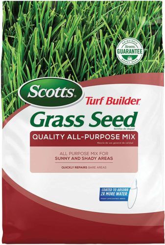 How to Choose the Perfect Grass Seed for Your Lawn
