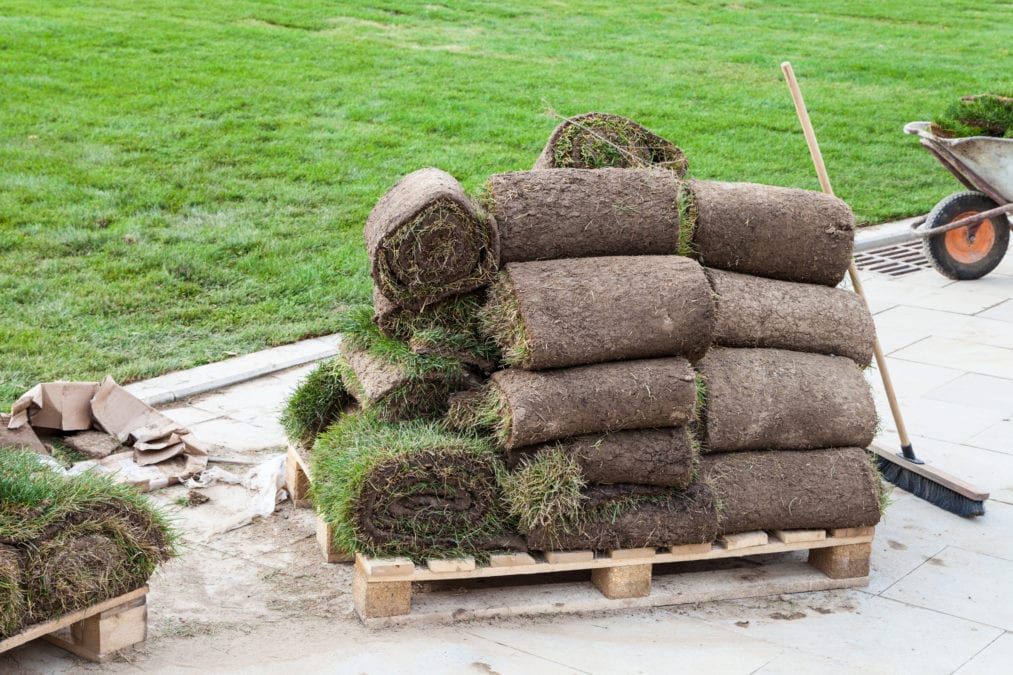 How To Lay Sod: Quick and Easy Guide to Installing a New Lawn