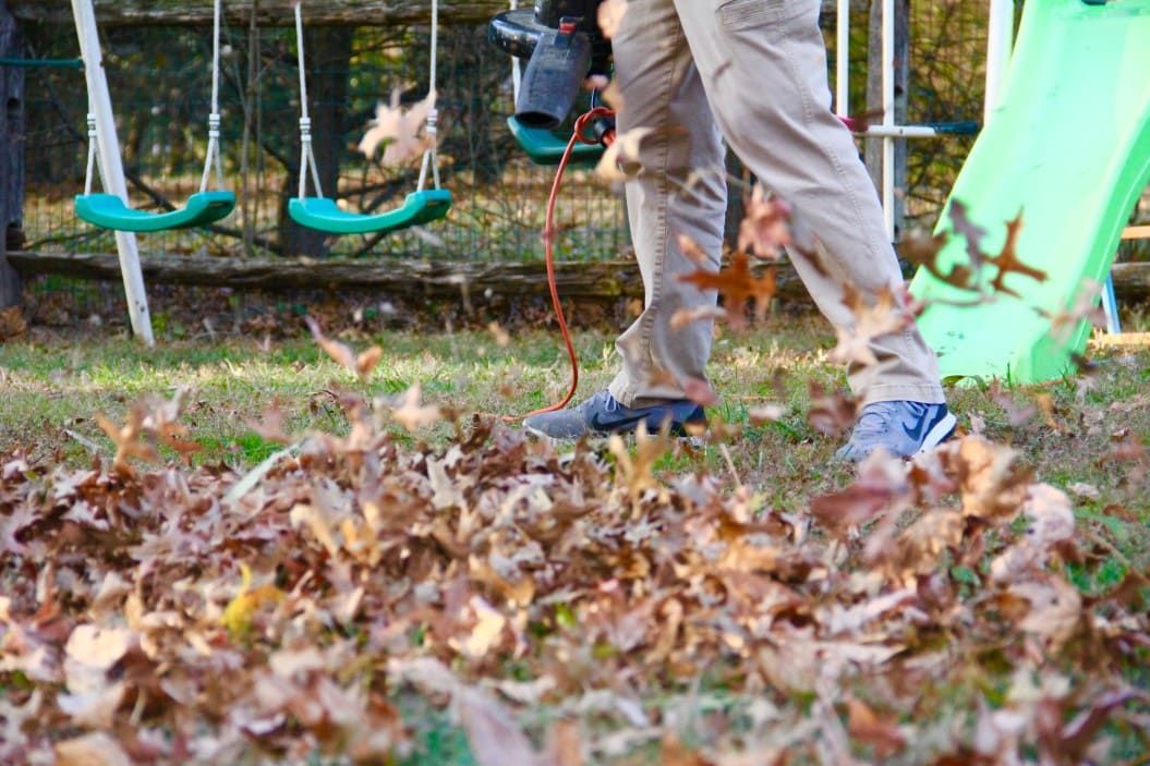 Buying Guide: The Best Leaf Blowers in 2020