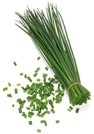 How to Start an Herb Garden: A Guide for Beginners