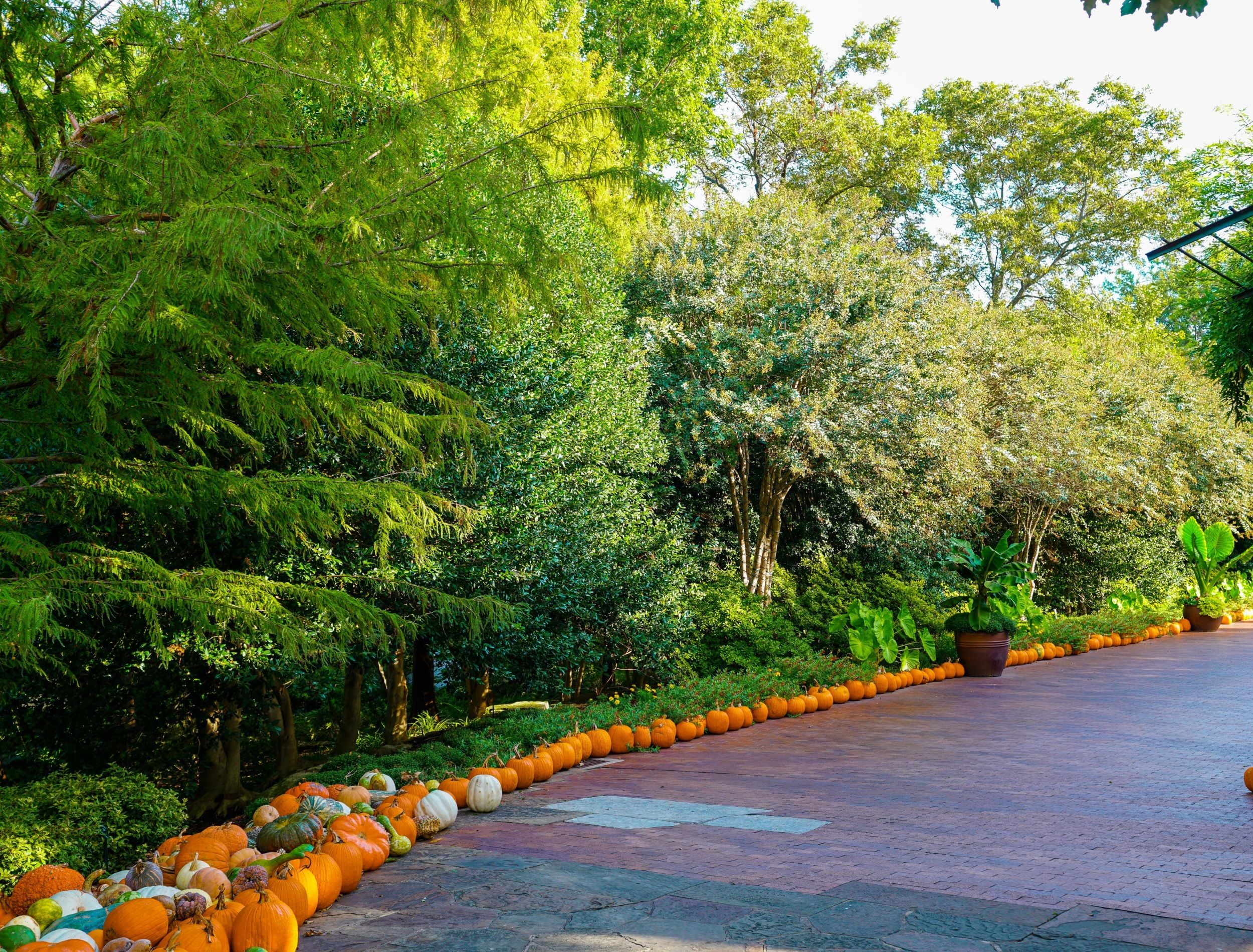 22 of the Best Fall Landscape Ideas: #17 is Perfect!