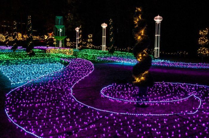 Garvan Woodland Gardens Christmas Lights
