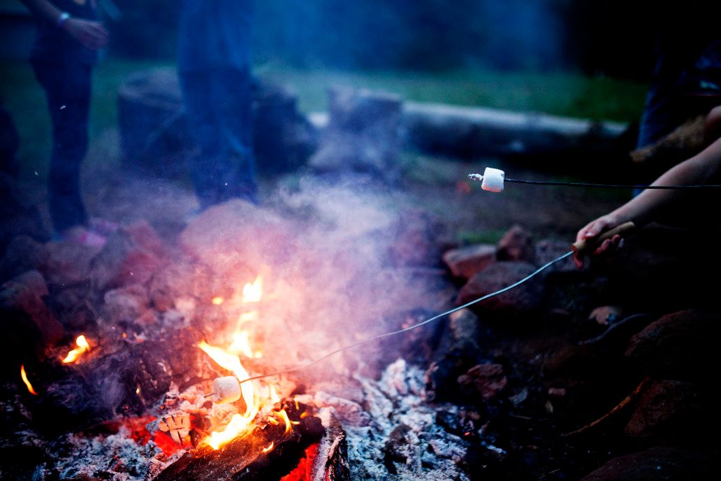 Is Pecan Good Firewood? A Guide to Burning Pecan Wood