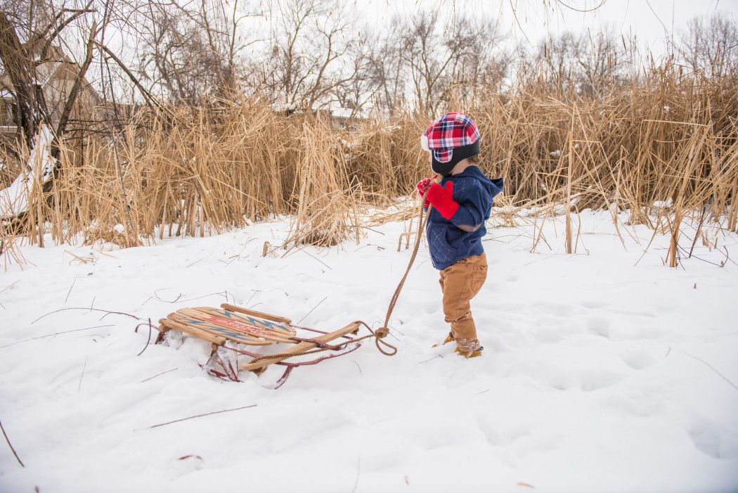 Find the Best Toddler Sled: Reviews & Buying Guide