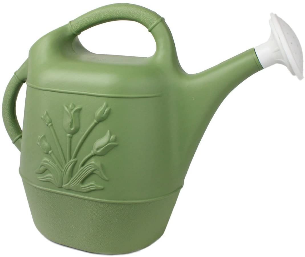 The Best Watering Cans to Keep All Your Plants Happy