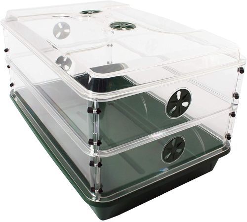 The Best Plant Propagation Station for Your Home