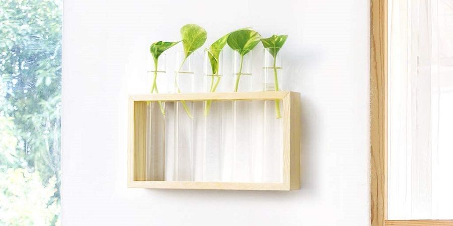 The Best Plant Propagation Station for Your Home