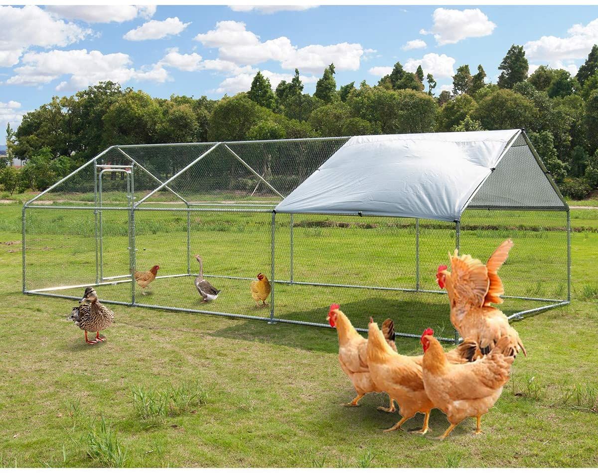 The Best Walk-In Chicken Coops for Your Flock