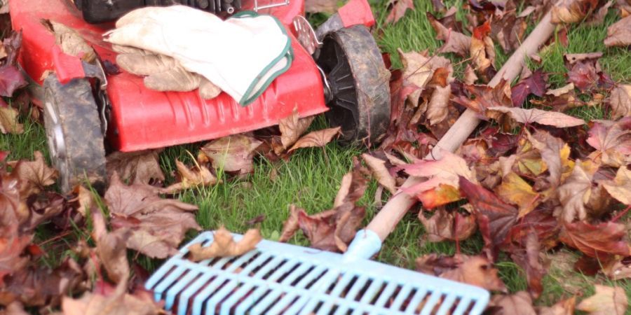 The Best Lawn Sweepers to Keep Your Yard Nice and Tidy