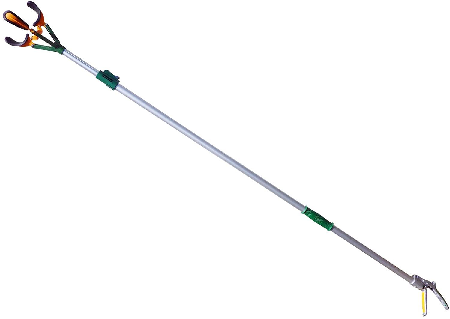 The Best Fruit Picker Tools to Pick Your Trees and Bushes Clean