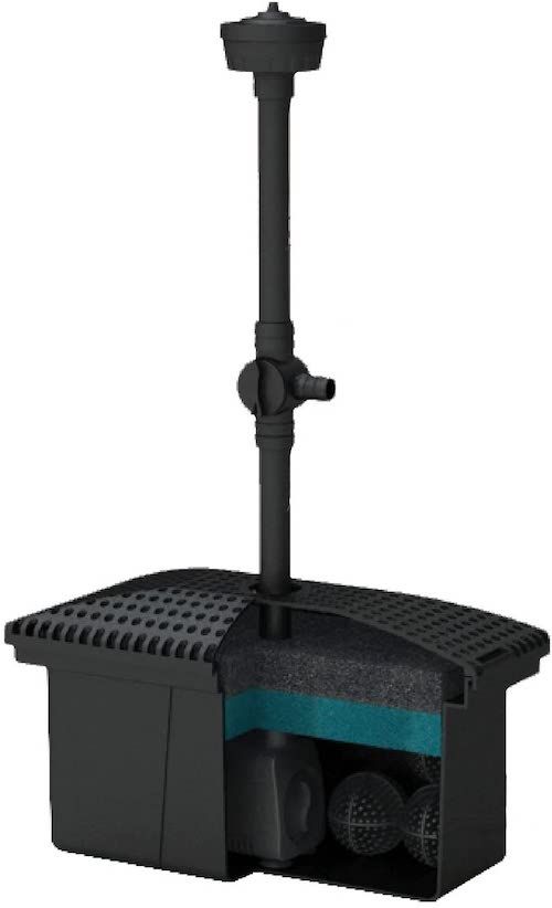 Best Pond Filter for Your Backyard Fish Pond