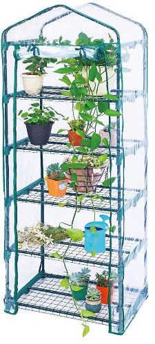 Best Indoor Greenhouse