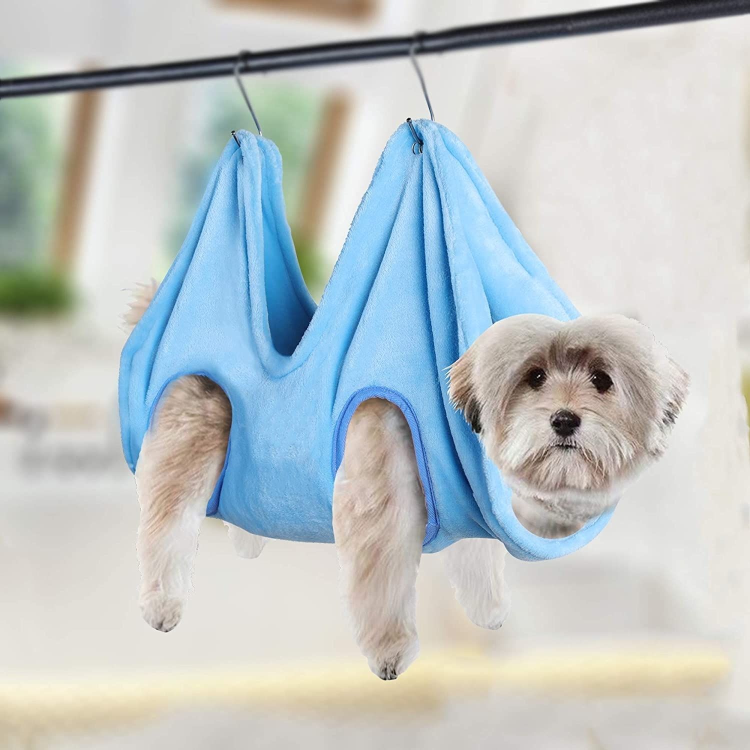 The Best Dog Hammock for Your Summer Adventures The Best Dog Hammock for Your Summer Adventures