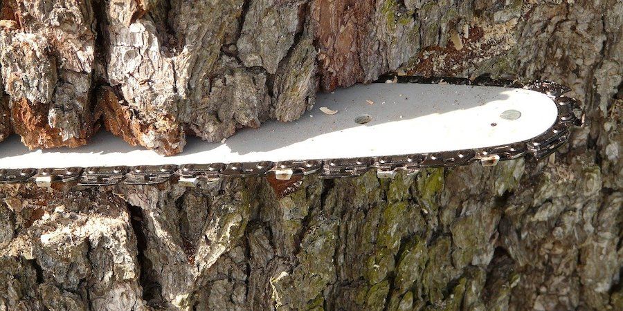 How To Use a Chainsaw