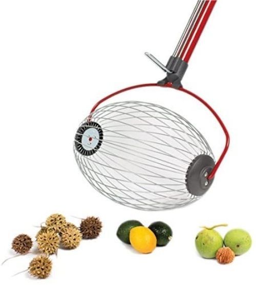 The 5 Best Fallen Apple Tools to Clean Up Your Yard