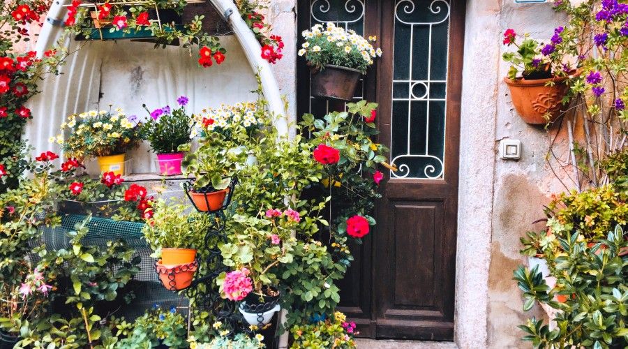 12 Beautiful and Eye-Catching Rose Garden Ideas