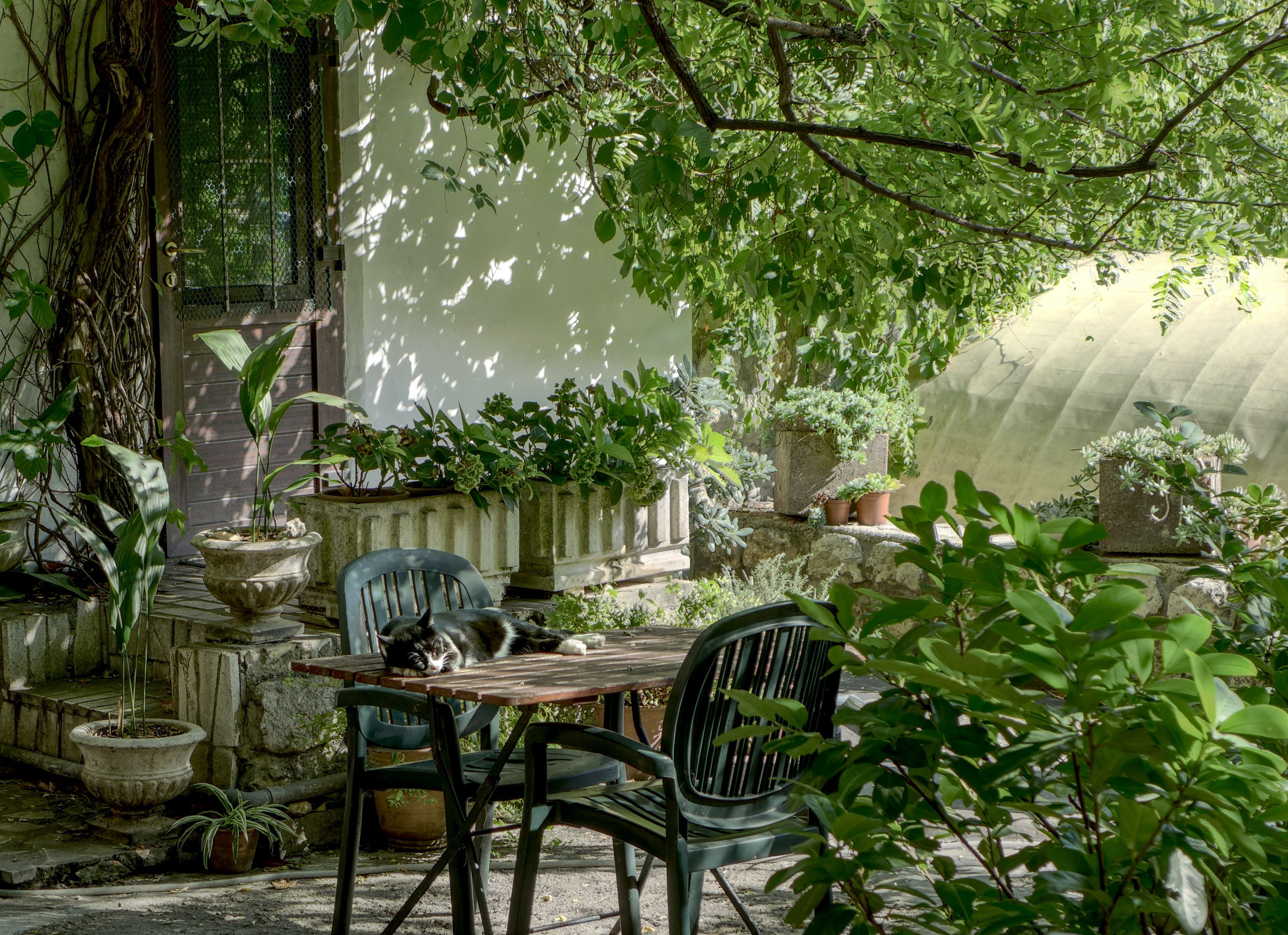 11 Social Front Yard Ideas