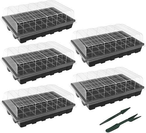The Best Indoor Garden Starter Kit in 2021