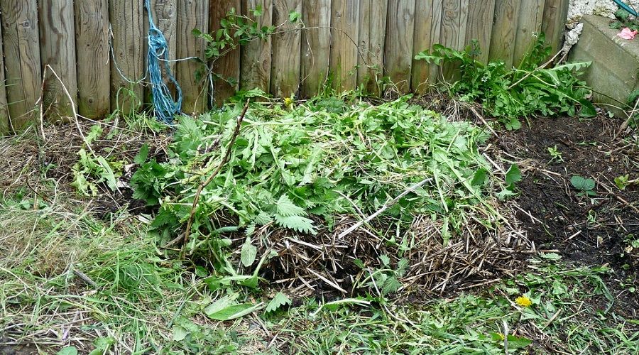 Winter Mulching: What Is It and Why You Should Do It