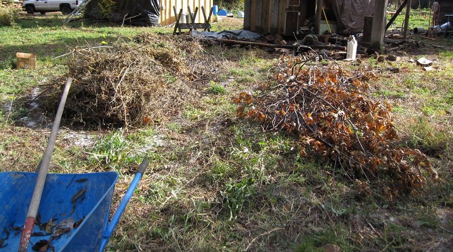 Winter Mulching: What Is It and Why You Should Do It