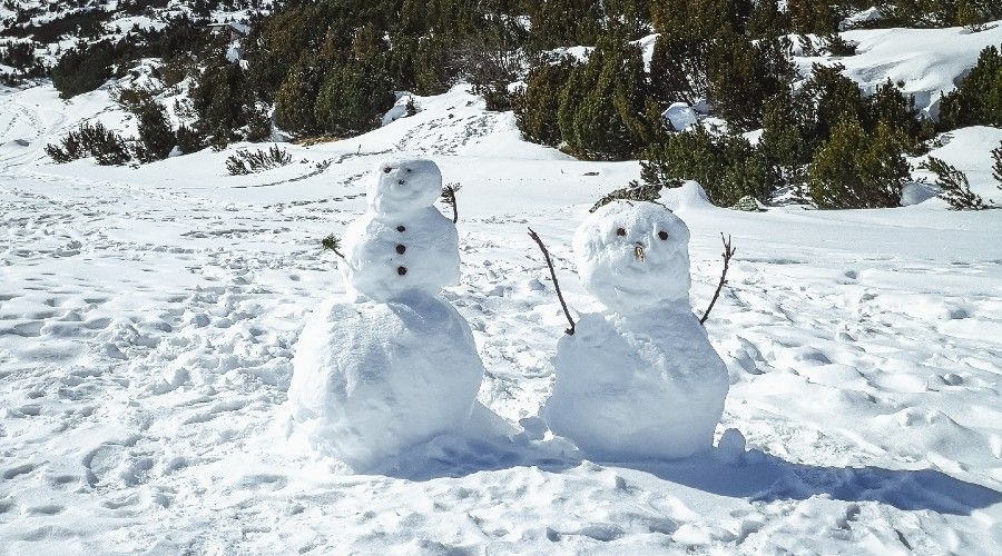 20 Super Fun Backyard Activities in Winter
