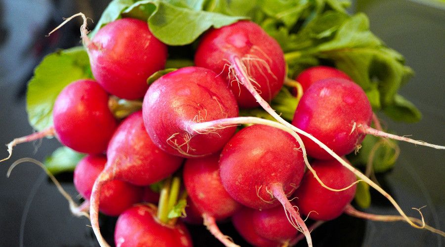 Best Vegetables and Herbs to Grow This Winter