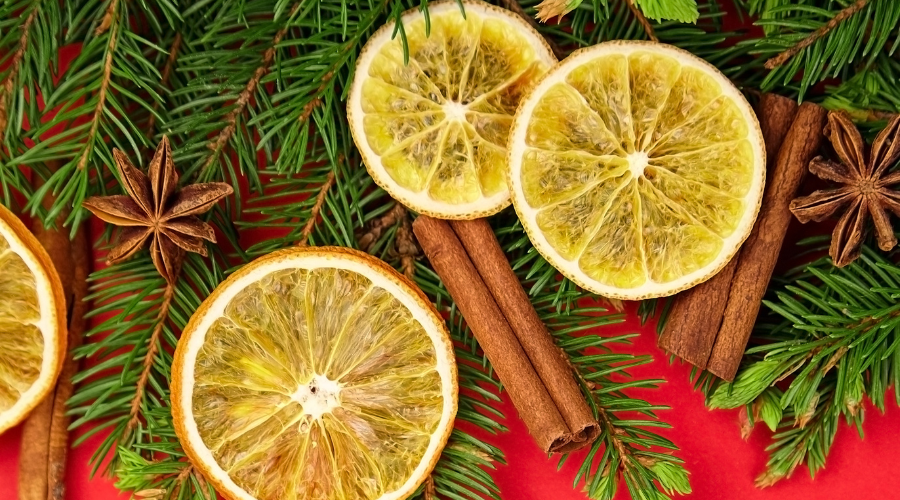 65 Dried Fruit Christmas Decoration Ideas for your Home