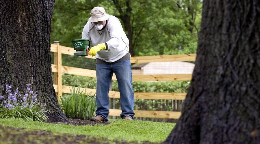 Best Fertilizer Spreader for Easy Lawn Maintenance