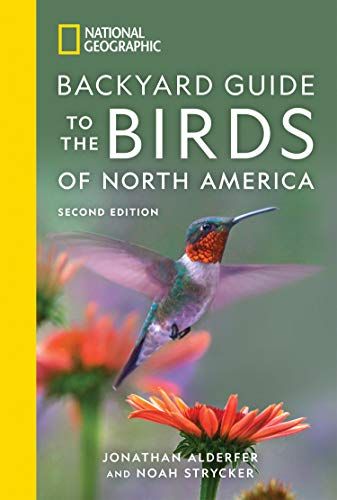 The Best Backyard Bird Guides for 2022