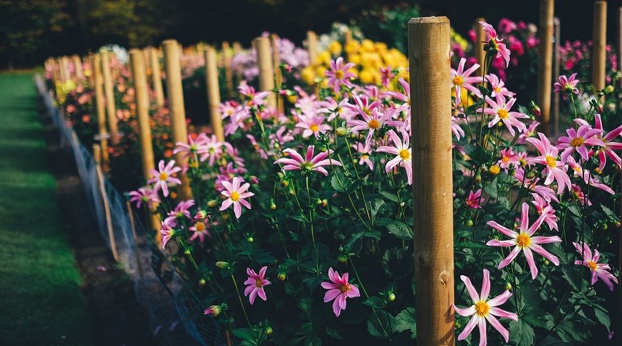 The Best Landscape Edging In 2022